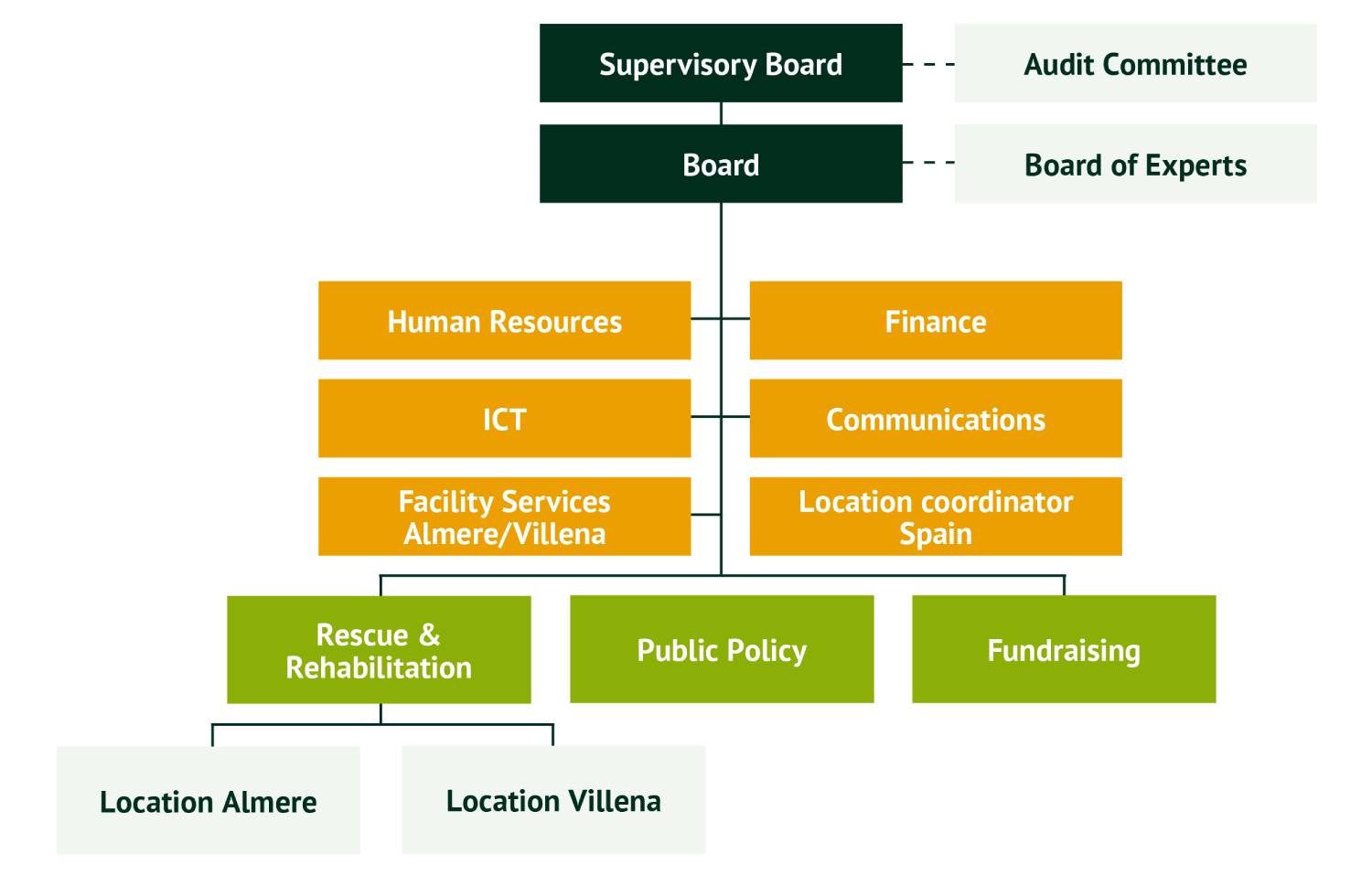 The board of AAP - AAP English